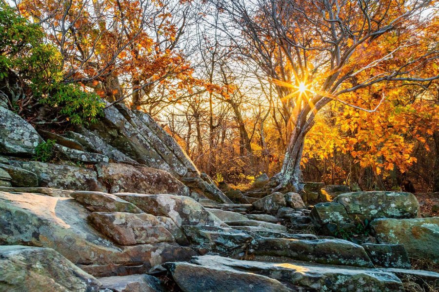 Humpback Rocks | Visit Staunton