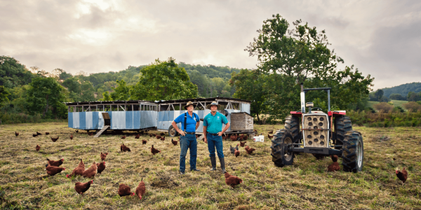 Polyface Farm | Visit Staunton