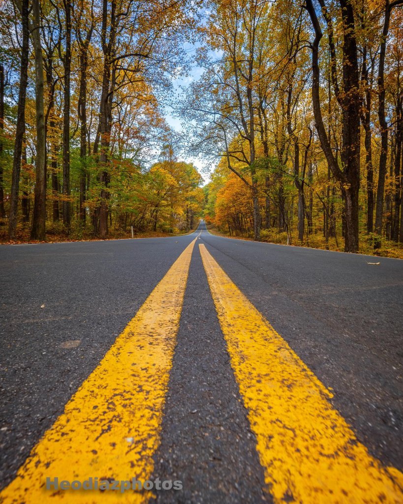 Skyline Drive | Visit Staunton
