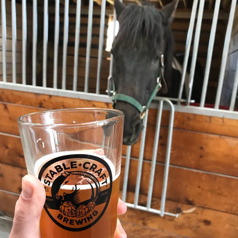 Stable Craft Brewing | Visit Staunton