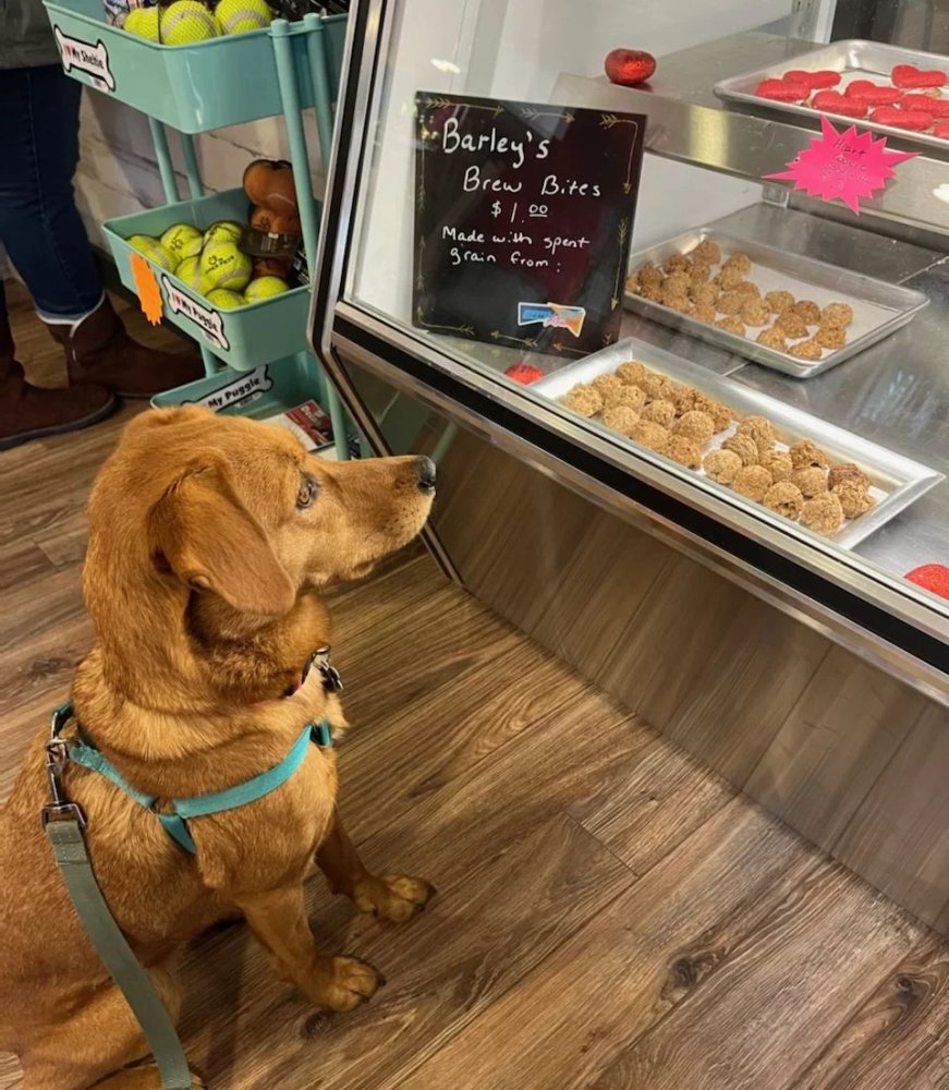 The Well Balanced Paw: Pet Wellness In Staunton, VA