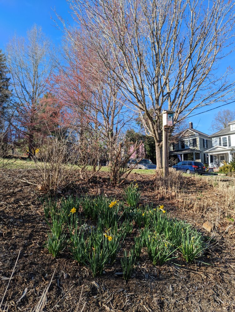 Your Ultimate Relaxation Guide While Visiting Staunton