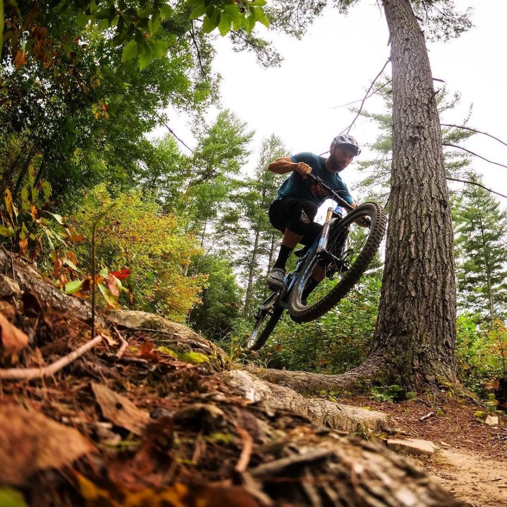 Bears, Birds, And Bike Trails: Where To Find Them In Staunton’s Great ...